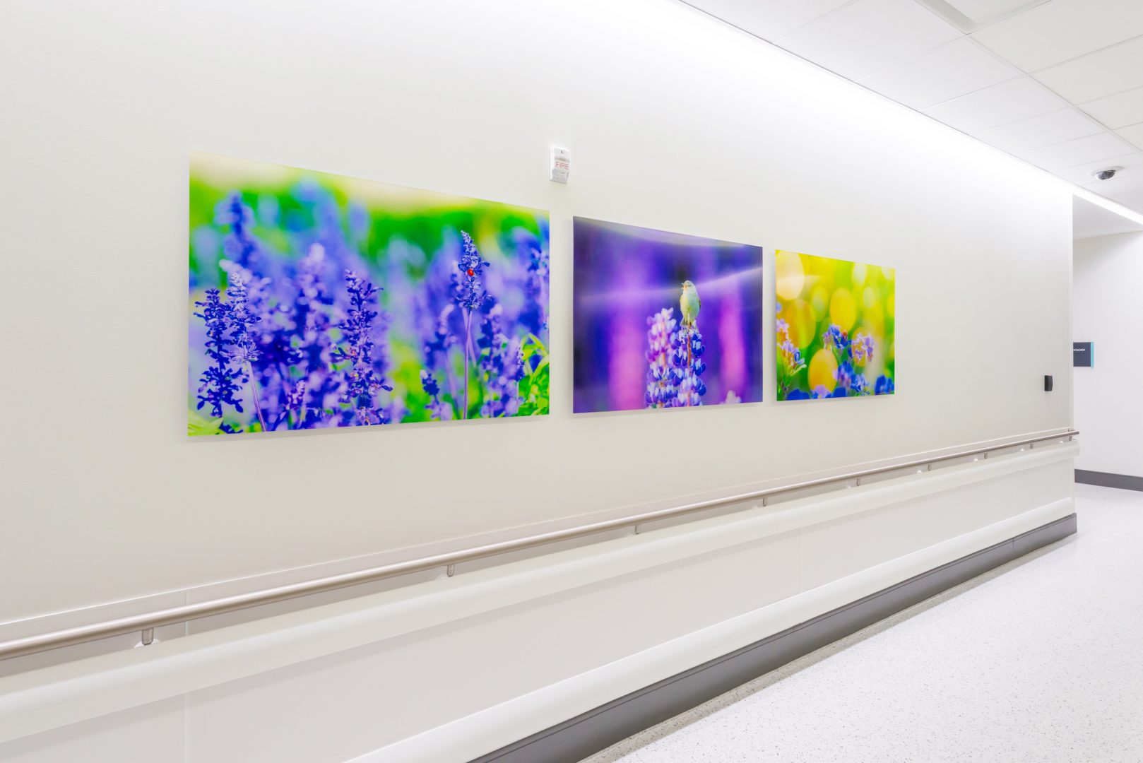 New Hospital Construction - Great American Art