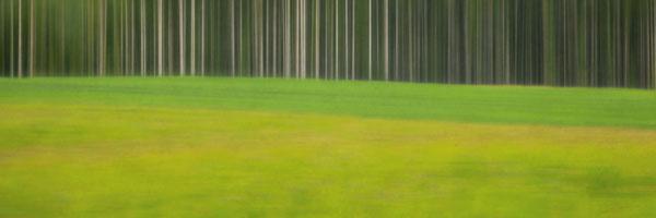 Art in Evidence-Based Workplace Design - Great American Art