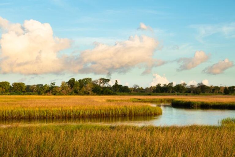 Landscapes & Seascapes - Great American Art