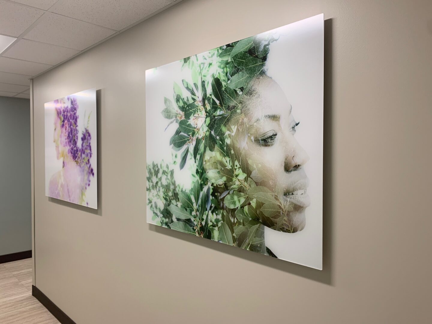 Dermatology & Plastic Surgery - Great American Art